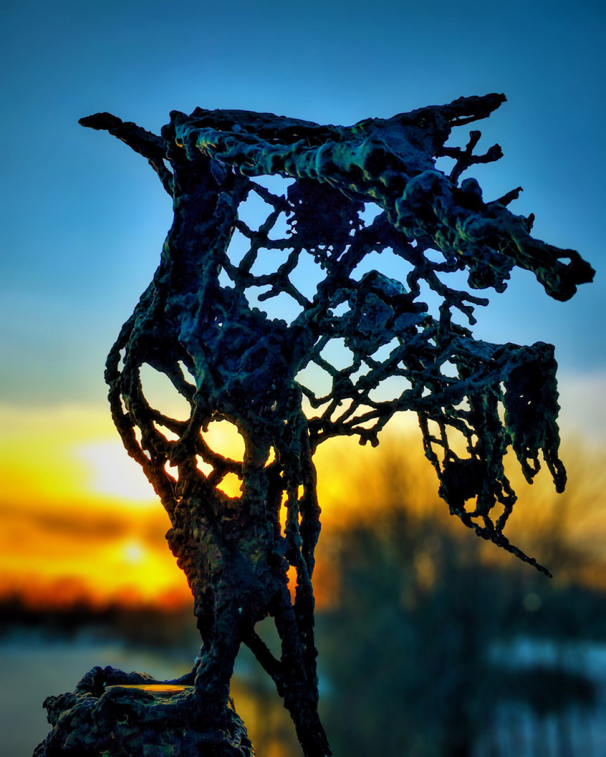 JayLap Prints from €20.00 | miPic